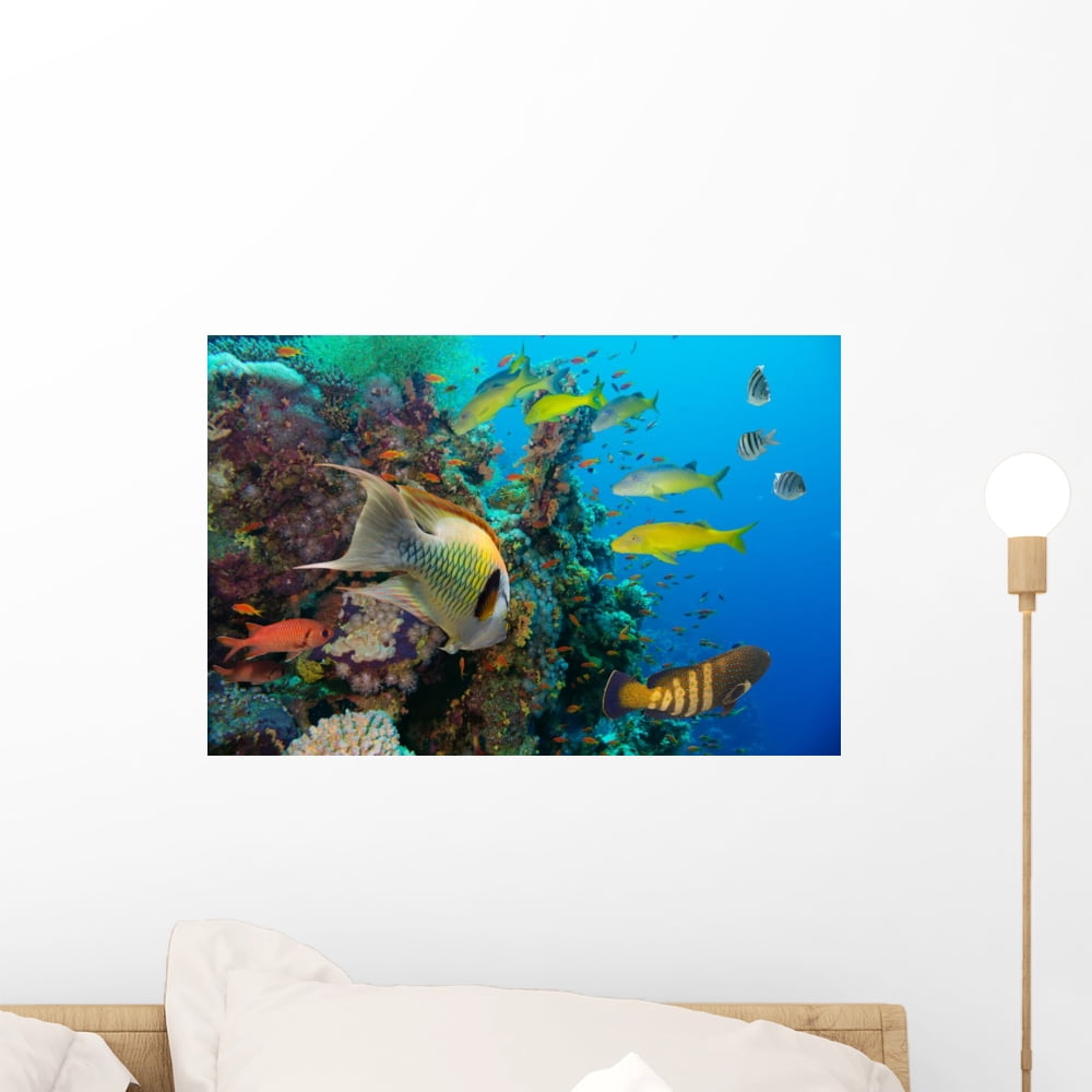 Colorful Underwater Reef with Wall Mural Decal Sticker, Wallmonkeys ...