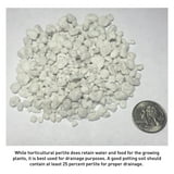 EasyGo Products Supreme Horticulture Perlite, Coarse Grade, 4 Cubic ...
