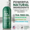 KESMEDIK Tea Tree Oil IRF13 Body Wash MaxTherapy | Antifungal Defense ...