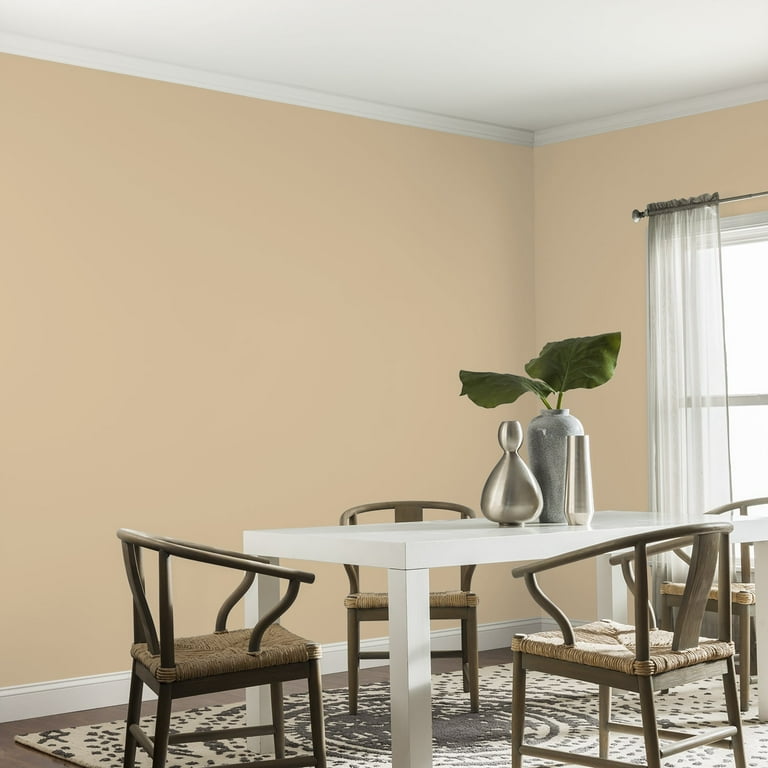 Beige Colour Paint