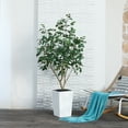 DR.Planzen Artificial Ficus Tree 5ft - UV Protected Faux Ficus Plant ...
