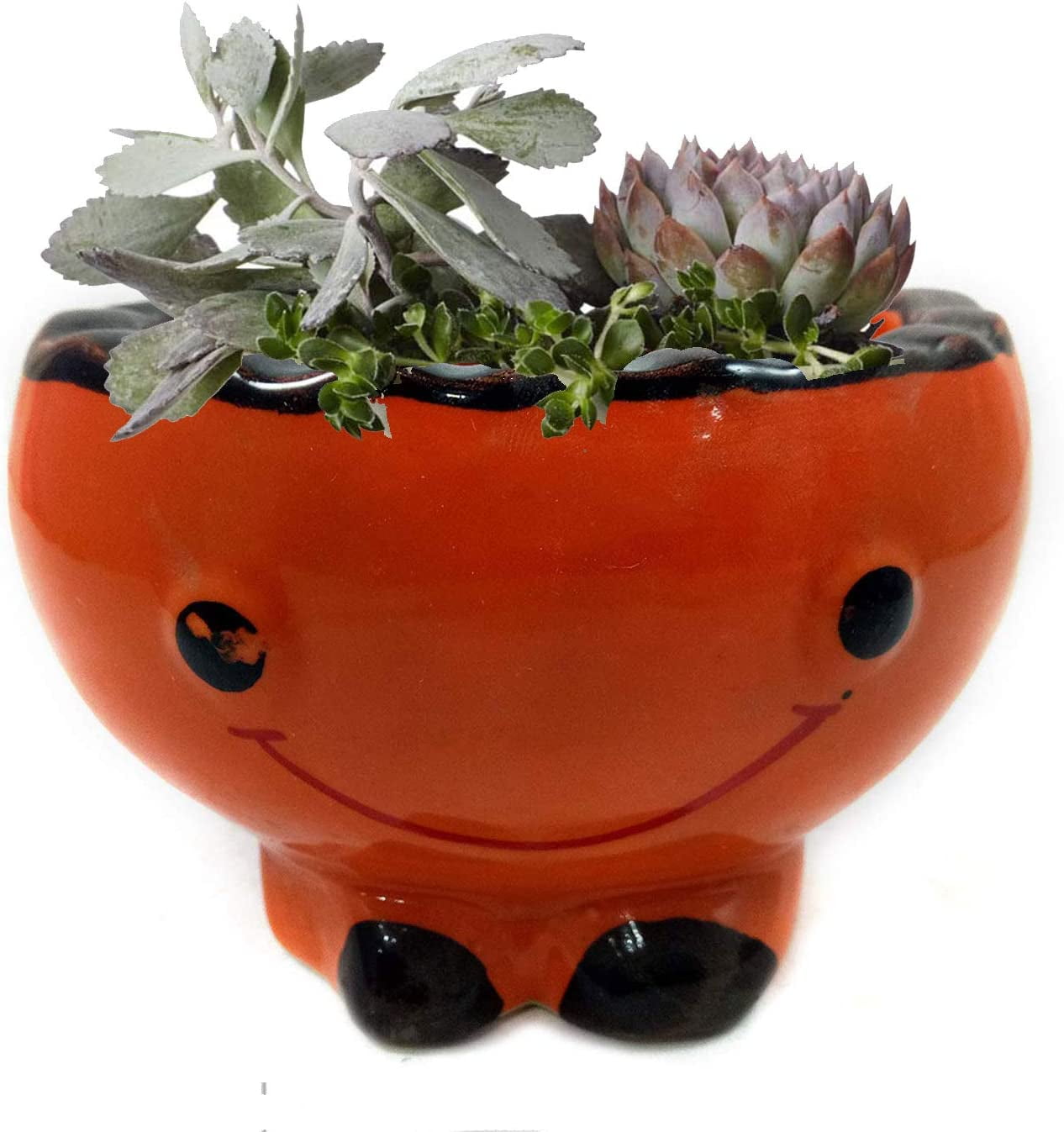 India Meets India Handicraft Ceramic Flower Pots Ceramic Planter Plant ...