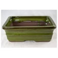 Rectangular Moss Green , Cactus, Pot 10x 8x 3.25 Tray Mesh - Walmart.com