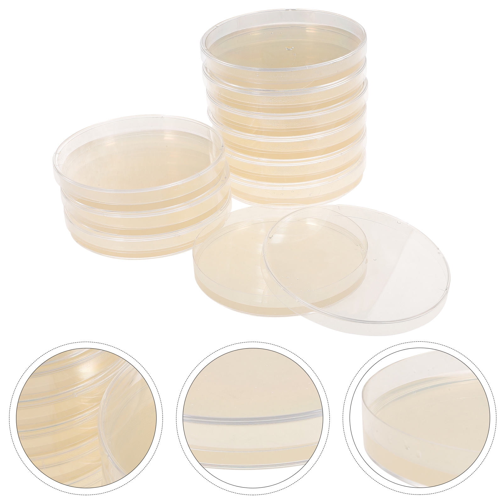 Click here for Aurarmlet 10pcs Light Yellow Agar Plates Nutrient... prices