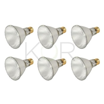 KOR (Pack of 6) 39PAR30L/FL 39W Halogen PAR30 Long Neck Flood Bulbs ...
