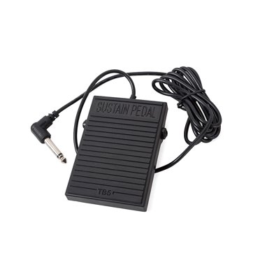 Likegreen Universal Sustain Pedal for Digital Keyboards, Black SP-1 ...
