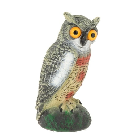 Owl Bird, Away Birds and Animals Away from The House, Garden, C ...