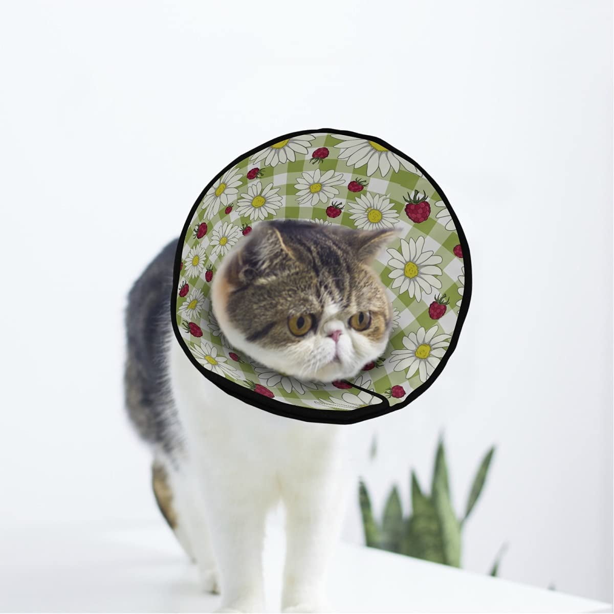 Camomile Flower Raspberry Soft Cat Dog Recovery Collar Adjustable Cat ...
