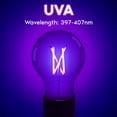 IYFFDFE-A19 Edison UV LED Black Light Bulb, 6W Filament Blacklight Bulb ...