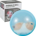 BESTSKY 2026 New Hamster Ball Toy Rolling Ball Cute Cartoon Animal Ball ...