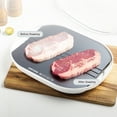 Fast Defrosting Tray with Fan, Ultrasonic Nebulizer - Healthy Thaw for ...