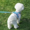 Puppy Velcro Vest: No-Pull, Reflective Small Dog/Cat Harness & Leash ...