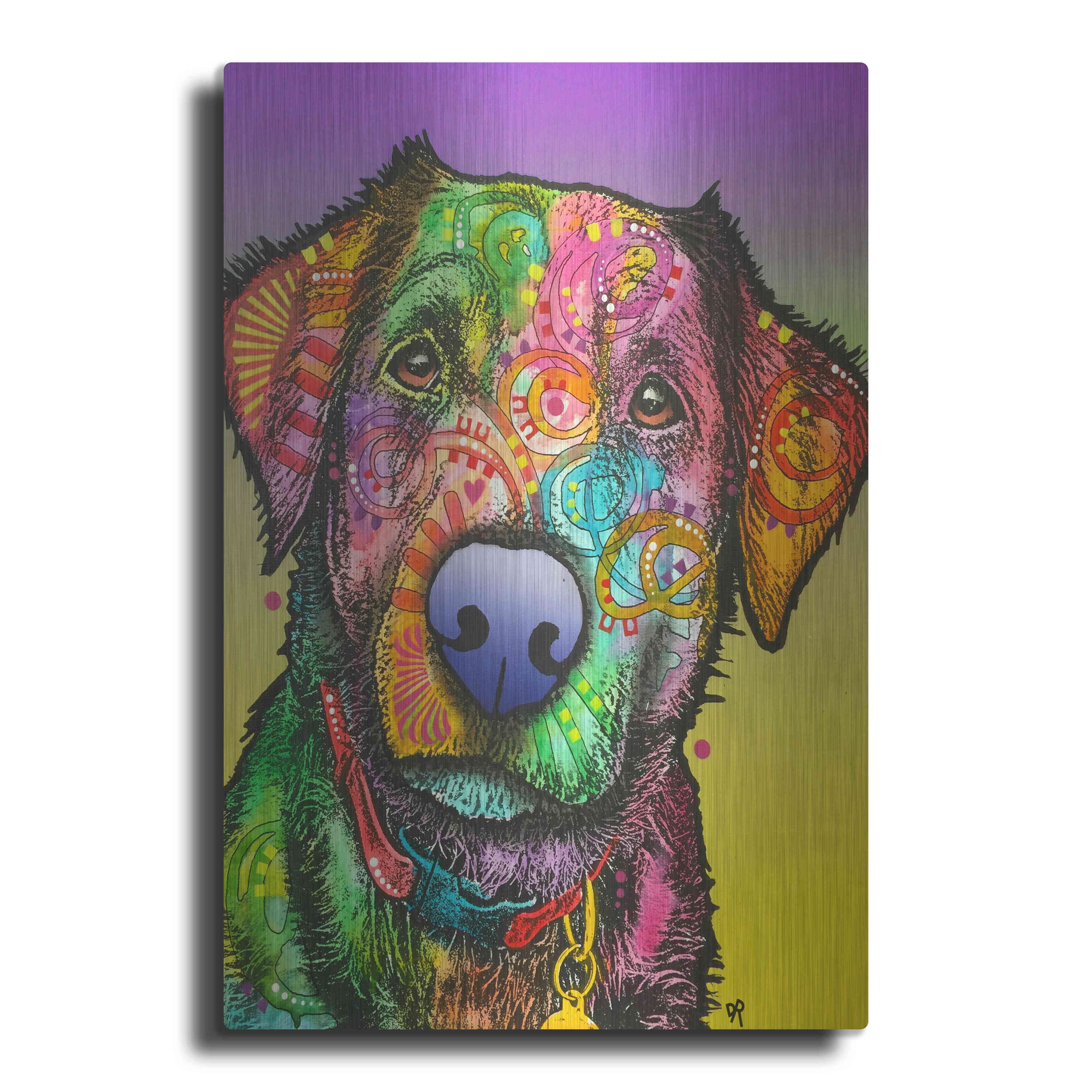 Luxe Metal Art 'Far Side' by Dean Russo, Metal Wall Art, 16"x24 ...