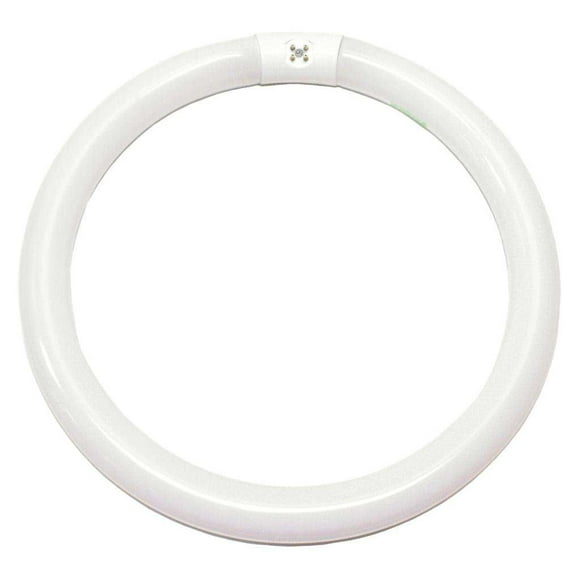 Circular Light Bulbs