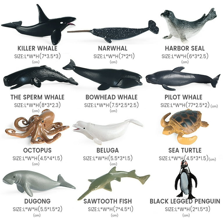Sea Animal Size Chart