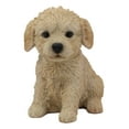 Ebros Realistic Adorable Sitting Golden Labradoodle Puppy Statue 6.5" H ...