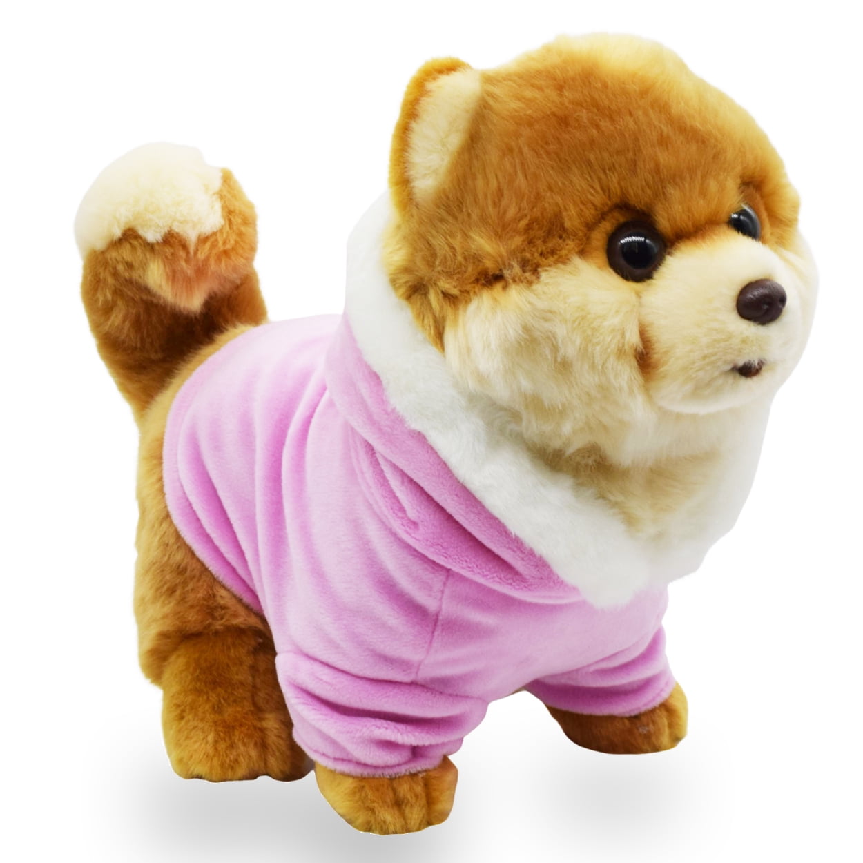 Realistic Pomeranian Dog in Clothes Stuffed Animal Plush Toy, Lifelike ...
