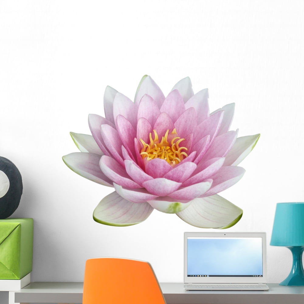 Lotus Flower Wall Mural Decal Sticker, Wallmonkeys Peel & Stick Vinyl ...