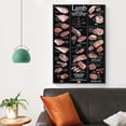 Lamb Cuts Chart and Grades Poster USDA Prime Choice Select Guide with ...