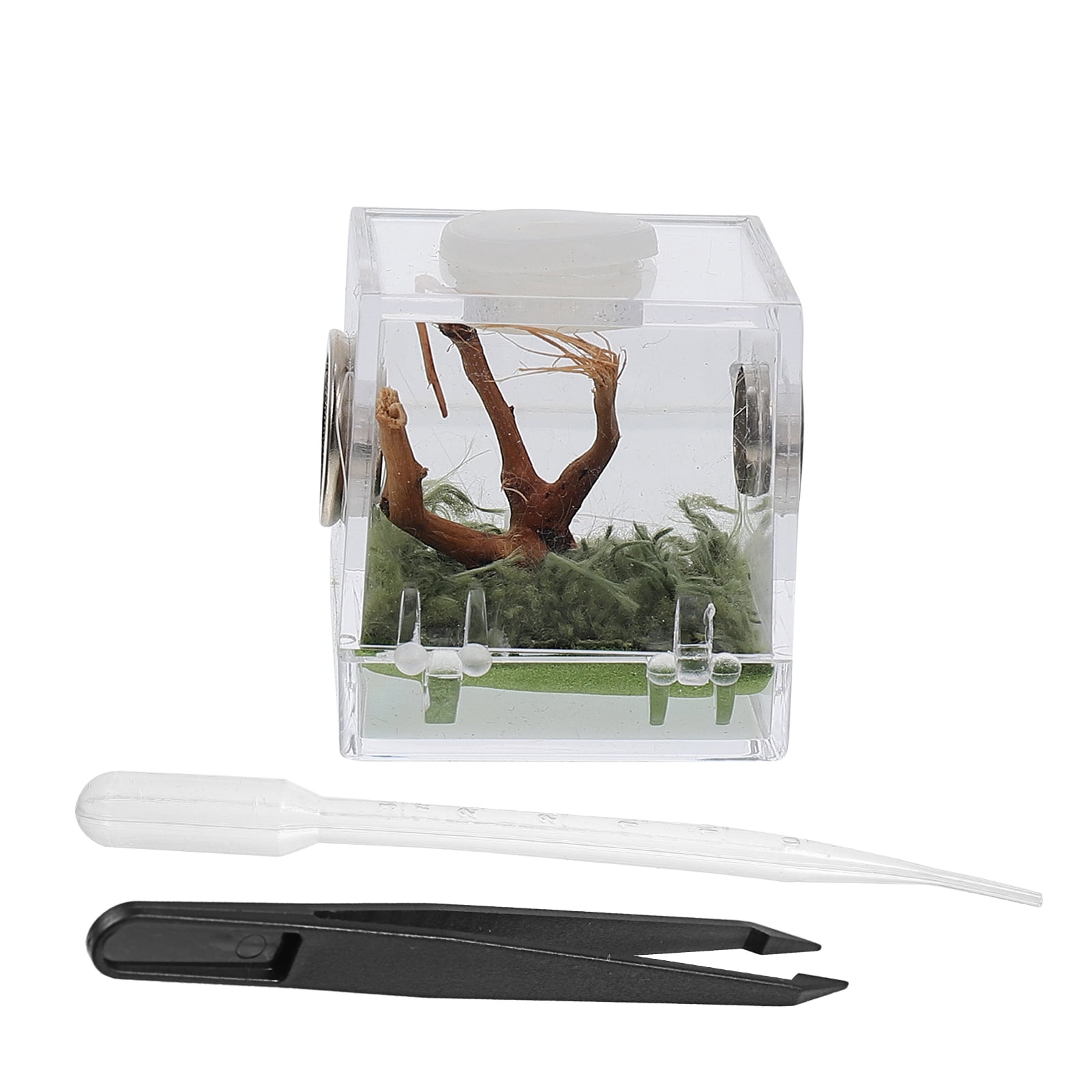 1 Set Reptile Acrylic Feeding Case Acrylic Spider Hatching Container ...