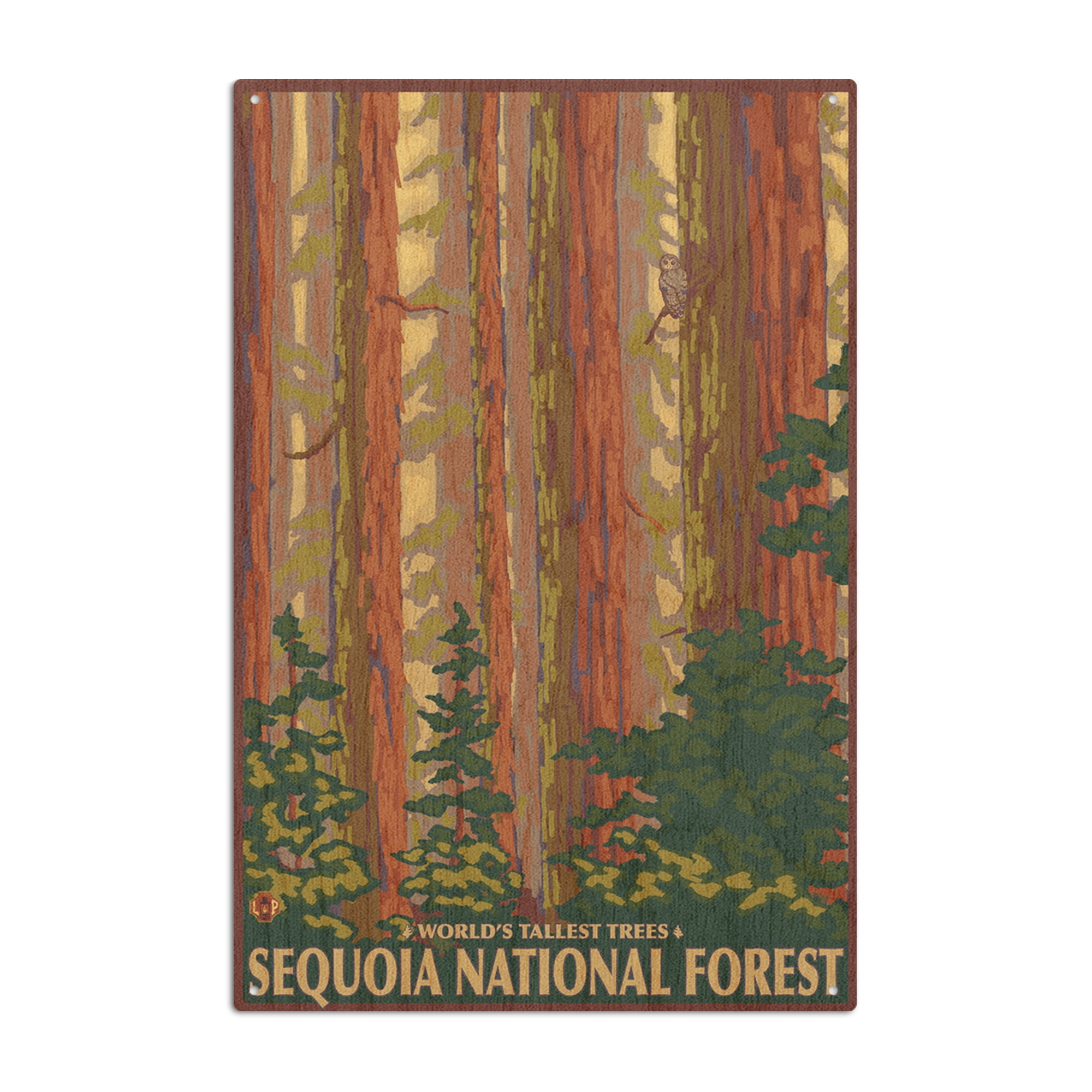 Sequoia National Forest, California, Redwood Trees Birch Wood Wall Sign ...