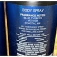 Bath & Body Works OCEAN Body Spray 3.7 Oz - Walmart.com