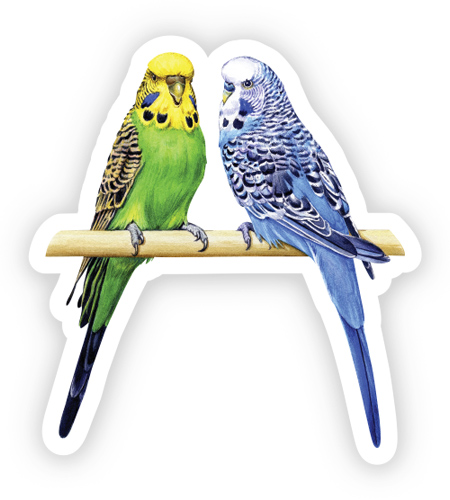 Parakeets - 5" Vinyl Sticker - For Car Laptop I-Pad - Waterproof Decal ...