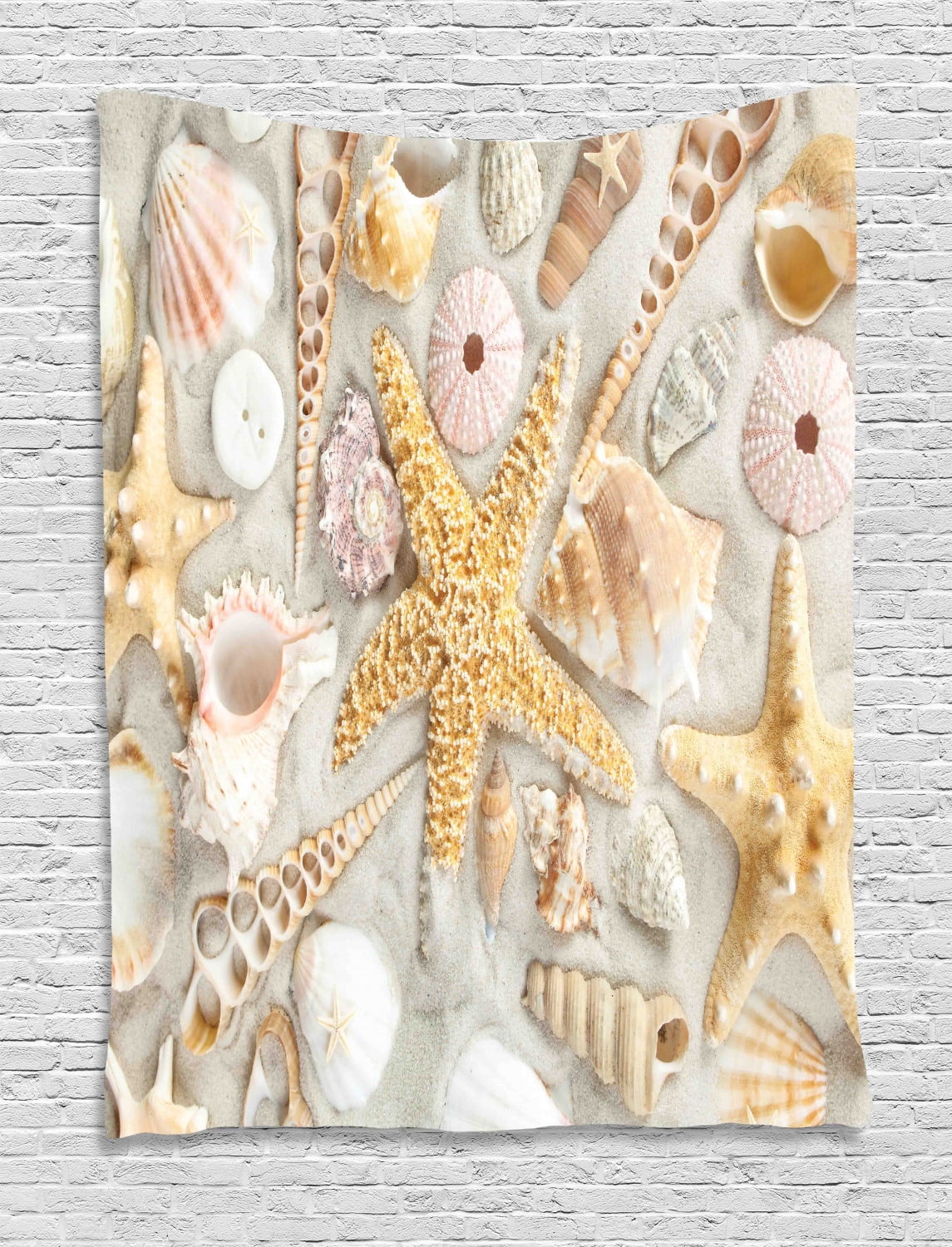 Shell Tapestry, Assorted Seashells in Sandy Beach Summer Vacation ...