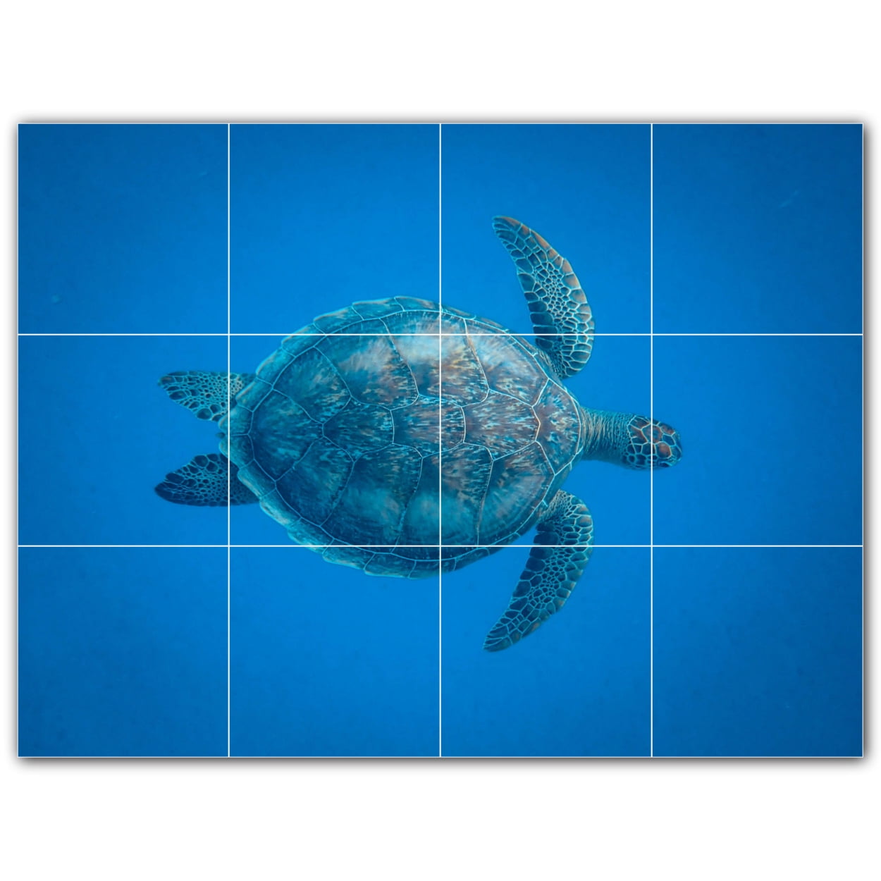 Picture-Tiles.com: Turtle Ceramic Tile Wall Mural WAL501067-43XL. 48"W ...