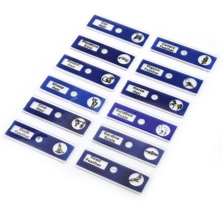 Prepared Microscope Slides Kit with Specimens Transparent Glass Slides ...