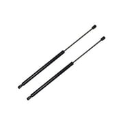 Ford Taurus X Liftgate Lift Support