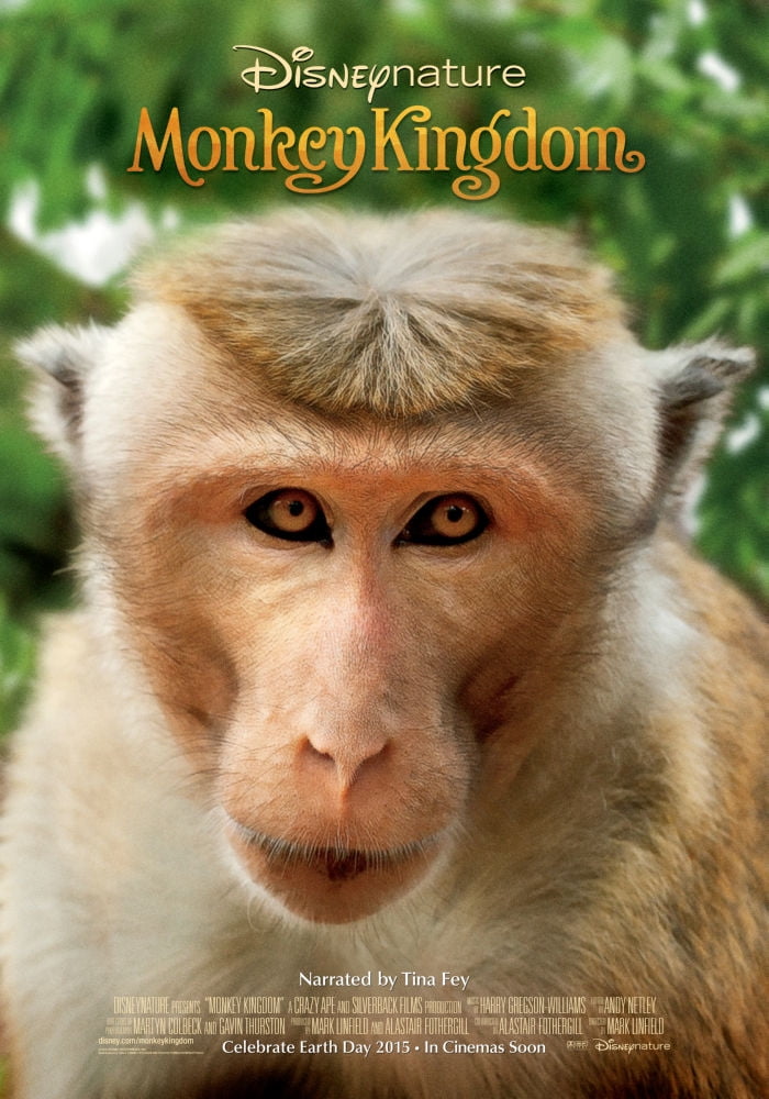 Monkey Kingdom Movie Poster 24In x36In Art Poster 24x36 Multi-Color ...