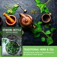 Stinging Nettle Seeds - Perennial Full Sun Herb - 5 Packs - Walmart.com