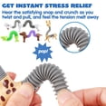Joyfy Animal Pop Tubes Fidget Toys, 8 Pack Sensory Toys for Toddlers ...