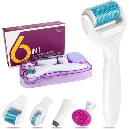 Derma Roller Kit, 6 in 1 Microneedles 0.25/0.5/1mm, 12/300/720/1200 ...
