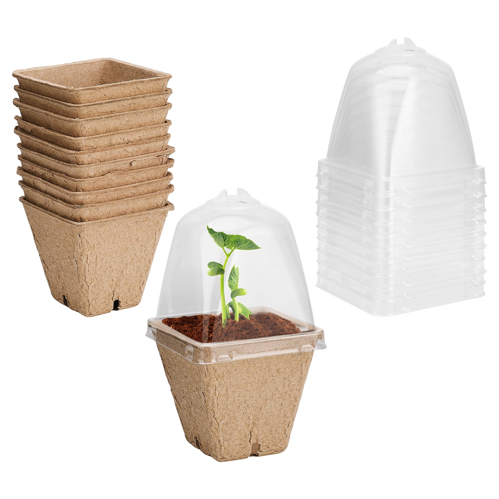 Seed Starter Pots Seedling Planter With Humidity Dome Transparent Cover ...