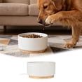 2 Pcs Heated Ceramic Cat Bowl, 1000ml USB Constant Temperature Pet Bowl ...