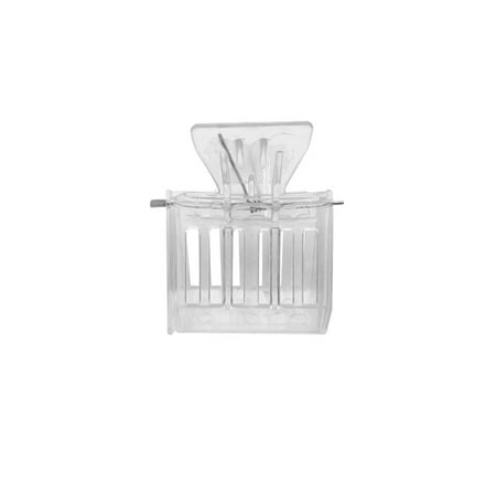Beekeeping Equipment Isolation Room Insect Box Bee Tools Queen Cage ...