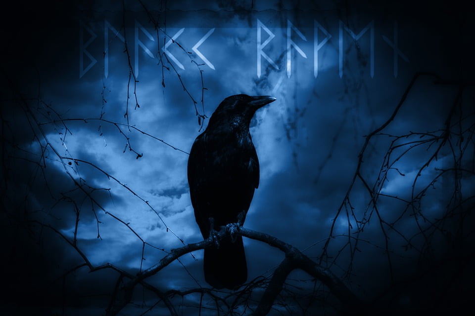 Raven Night Moonlight Raven Bird Dark Mystical-12 Inch BY 18 Inch ...