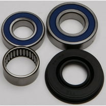 NEW ALL BALLS 14-1025 Chain Case Bearing and Seal Kits - Walmart.com