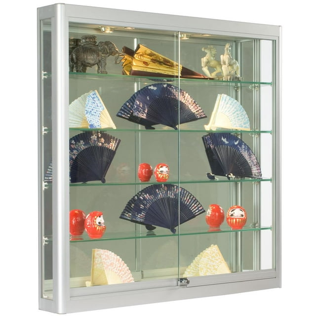Wall-Mounted, Silver Aluminum Glass Display Case, Illuminated, Locking ...