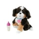 Scruffies Sophie Lost Loving Pup - Walmart.com