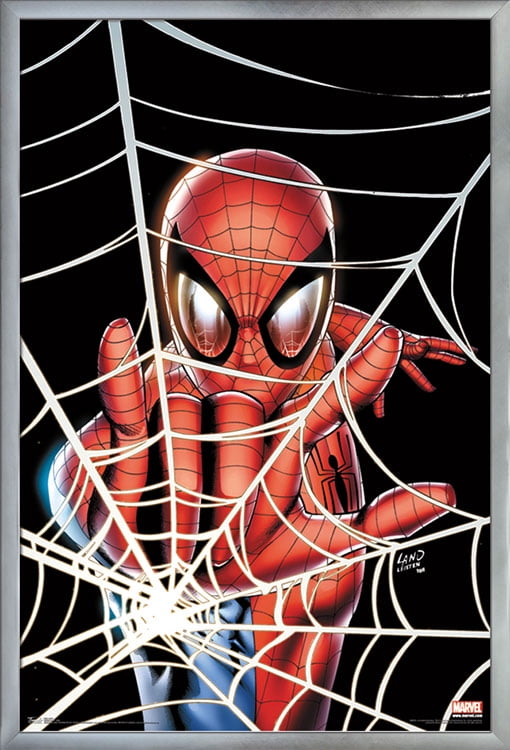 Spider-Man - Web - Walmart.com - Walmart.com