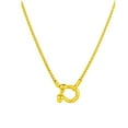 Lucky Lock Carabiner Necklace – Two-Tone Mixed Metal Horseshoe Pendant ...