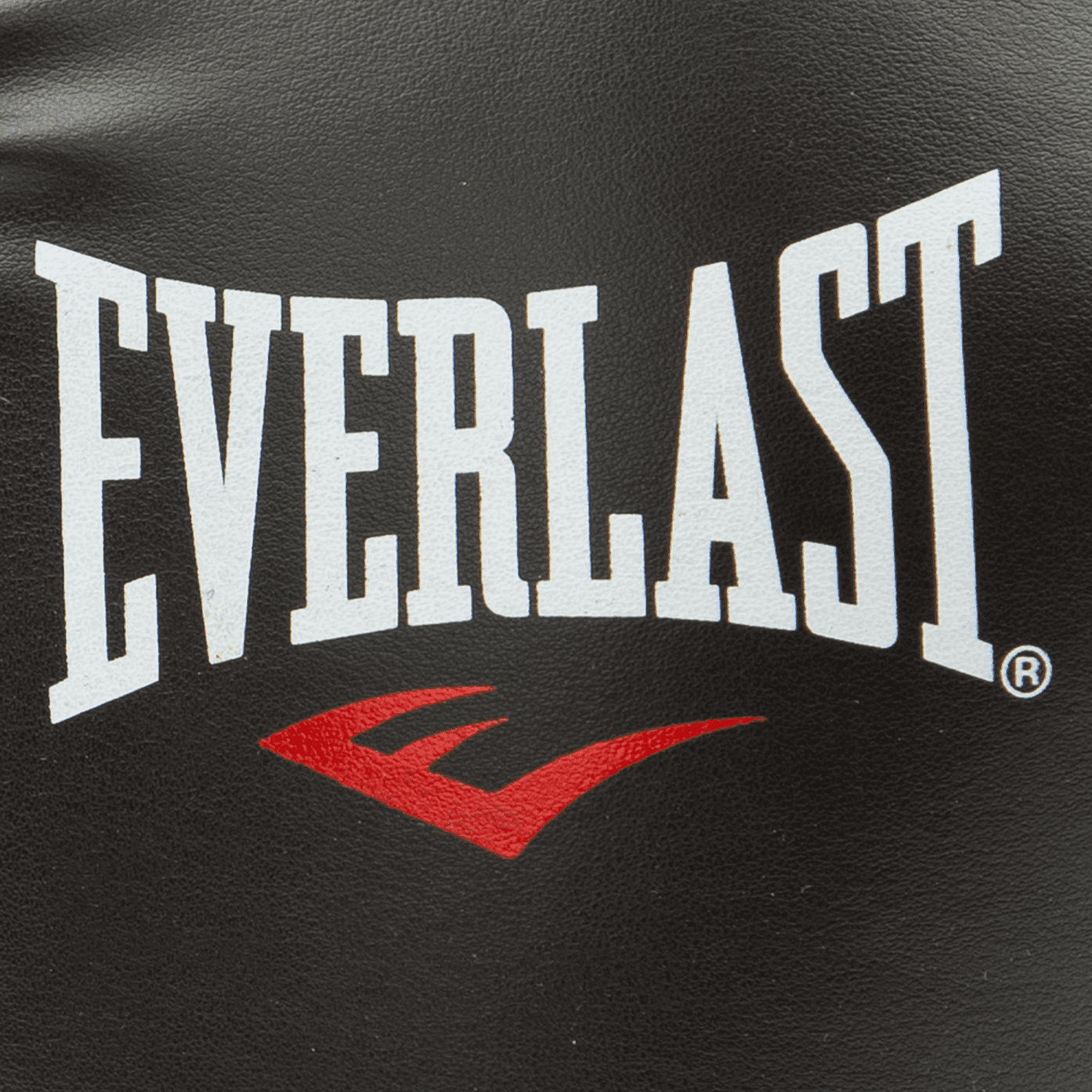 Everlast Boxing Logo