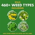 Weed Stop For Lawns Concentrate, Ready to Spray, Kills All Types of ...