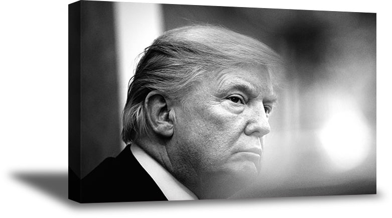 Awkward Styles Iconic Donald Trump Poster Portrait Patriotic Canvas ...