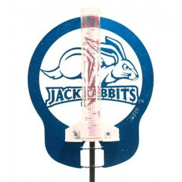 Michael Carr Gnome Rain Gauge - Walmart.com