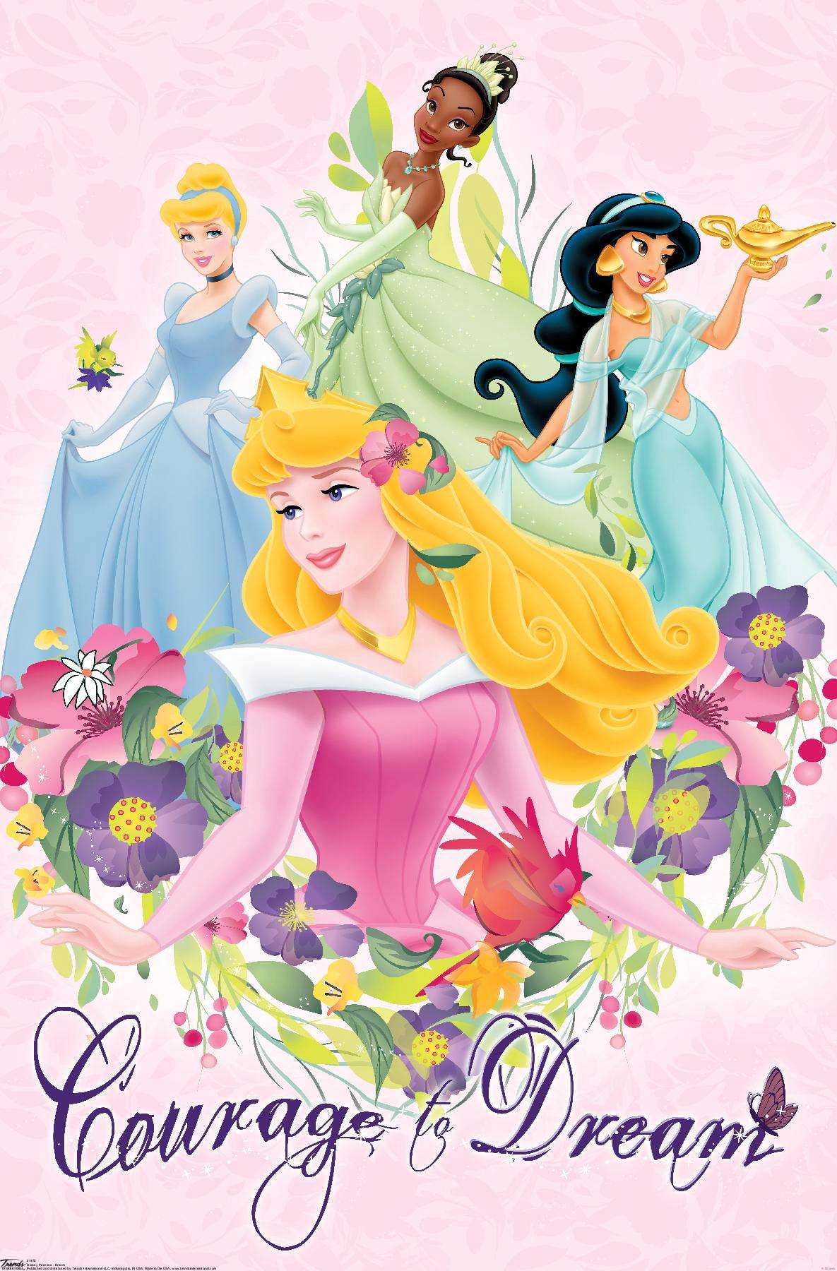 Disney Princess - Courage and Dream Wall Poster, 14.725" x 22.375 ...