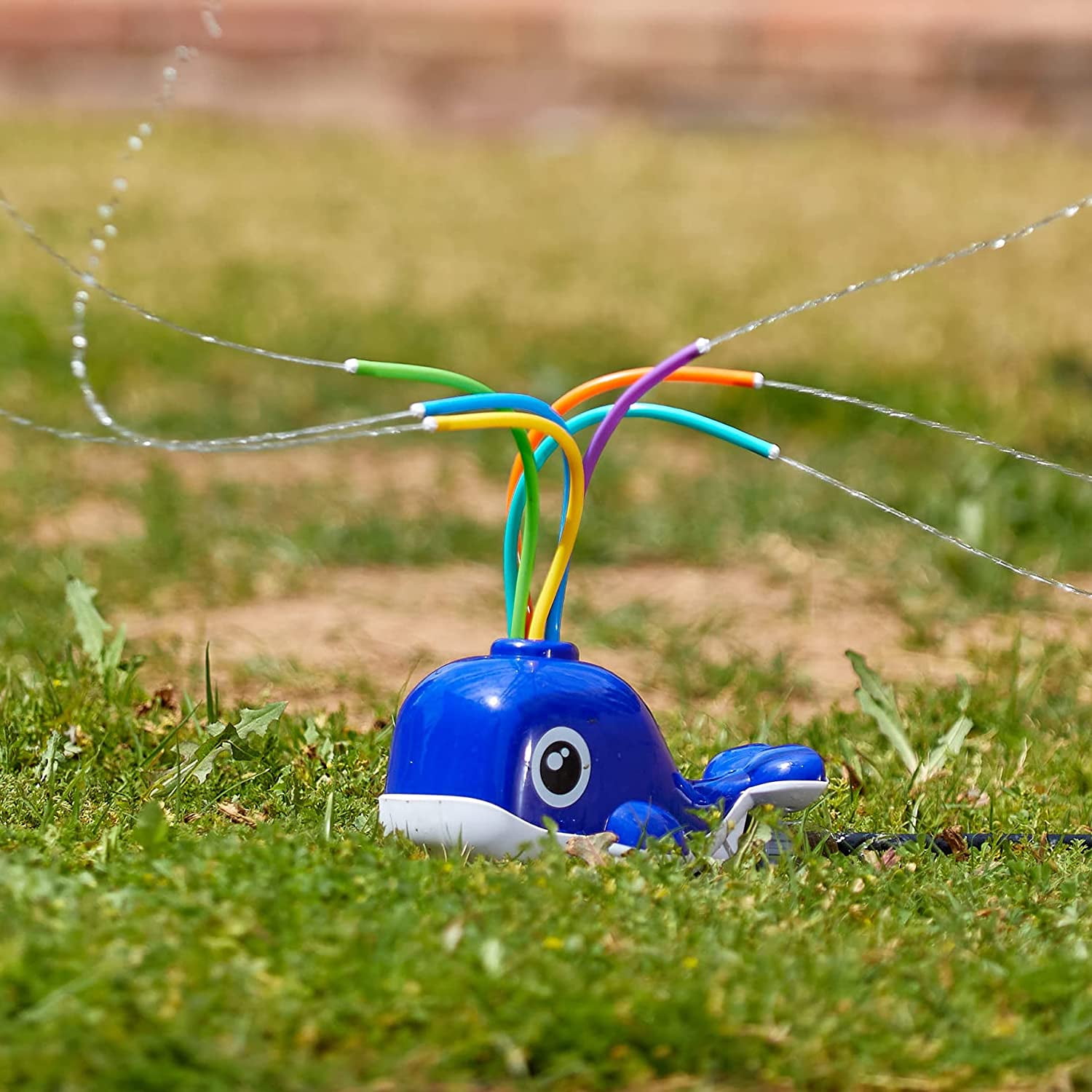 Wiggle Worm Sprinkler Water Toy